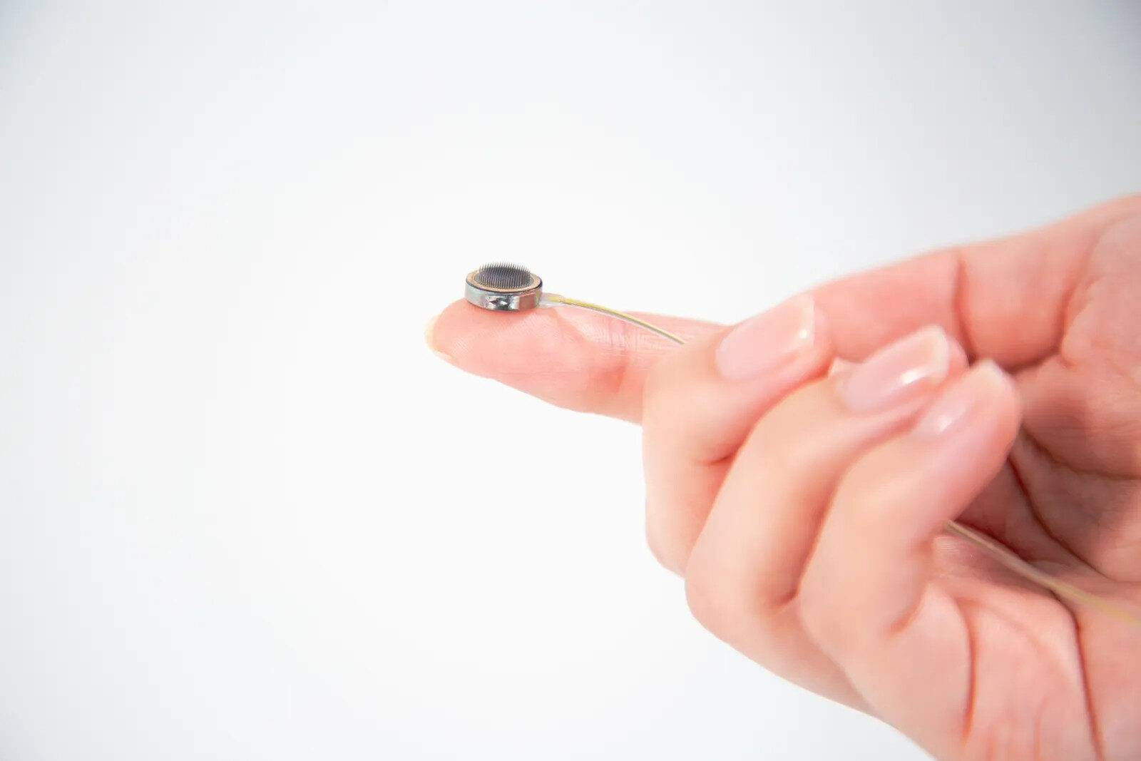 Tiny Implant Records Brain Signals - Simulation News
